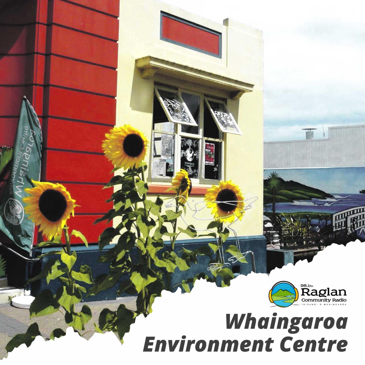 Whaingaroa Environment | Raglan Community Radio 98.1fm
